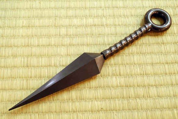 Ninjutsu Kojiki Ryū